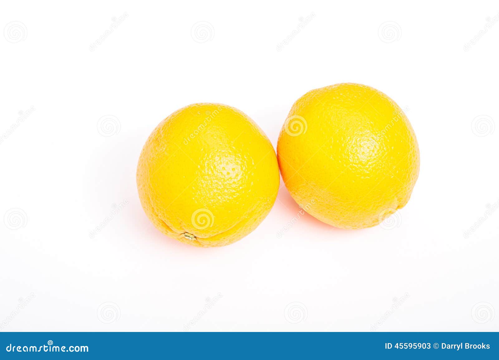 Two Naval Oranges on White stock image. Image of sweet - 45595903