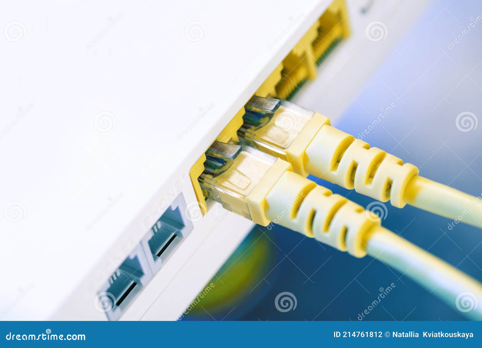 Two Network Cables Connected To the Hub Stock Photo - Image of ...