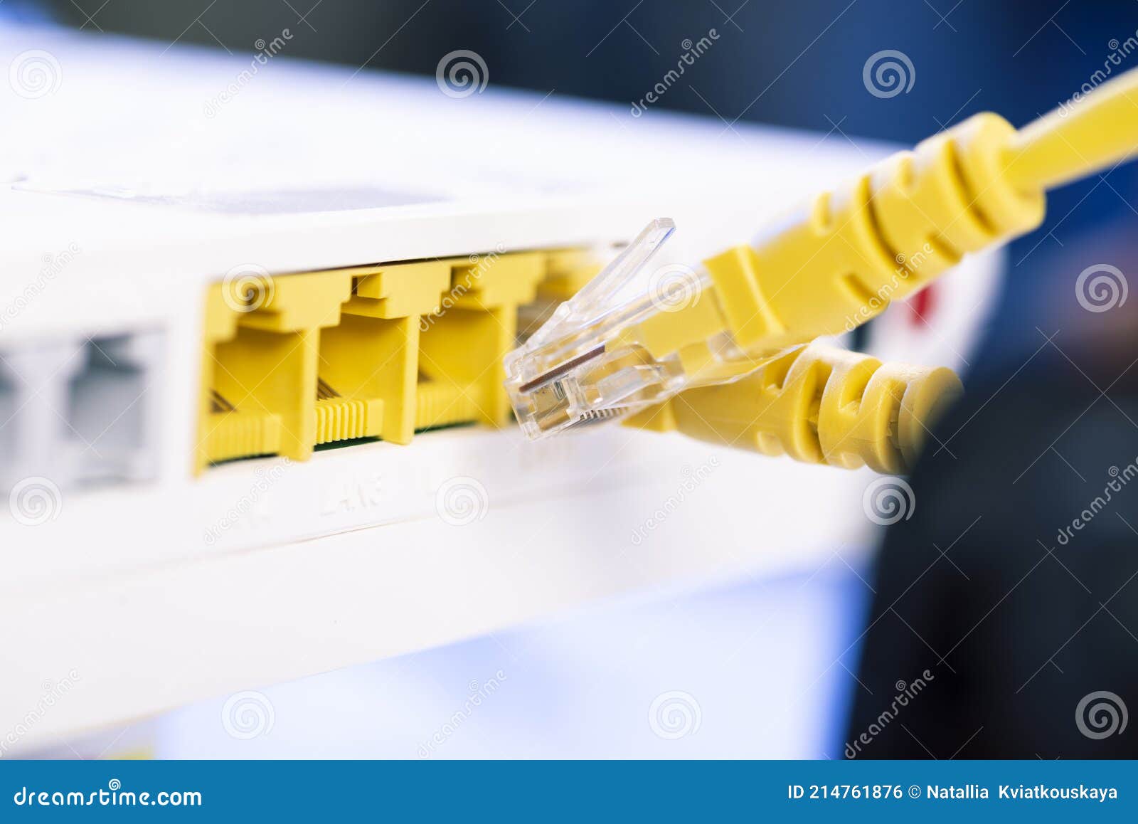 Two Network Cables Connected To the Hub Stock Photo - Image of internet ...