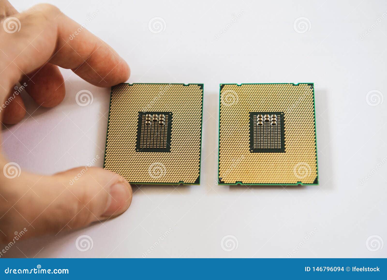 Two New Powerful Workstation CPU Processors Man Hand Stock Photo ...