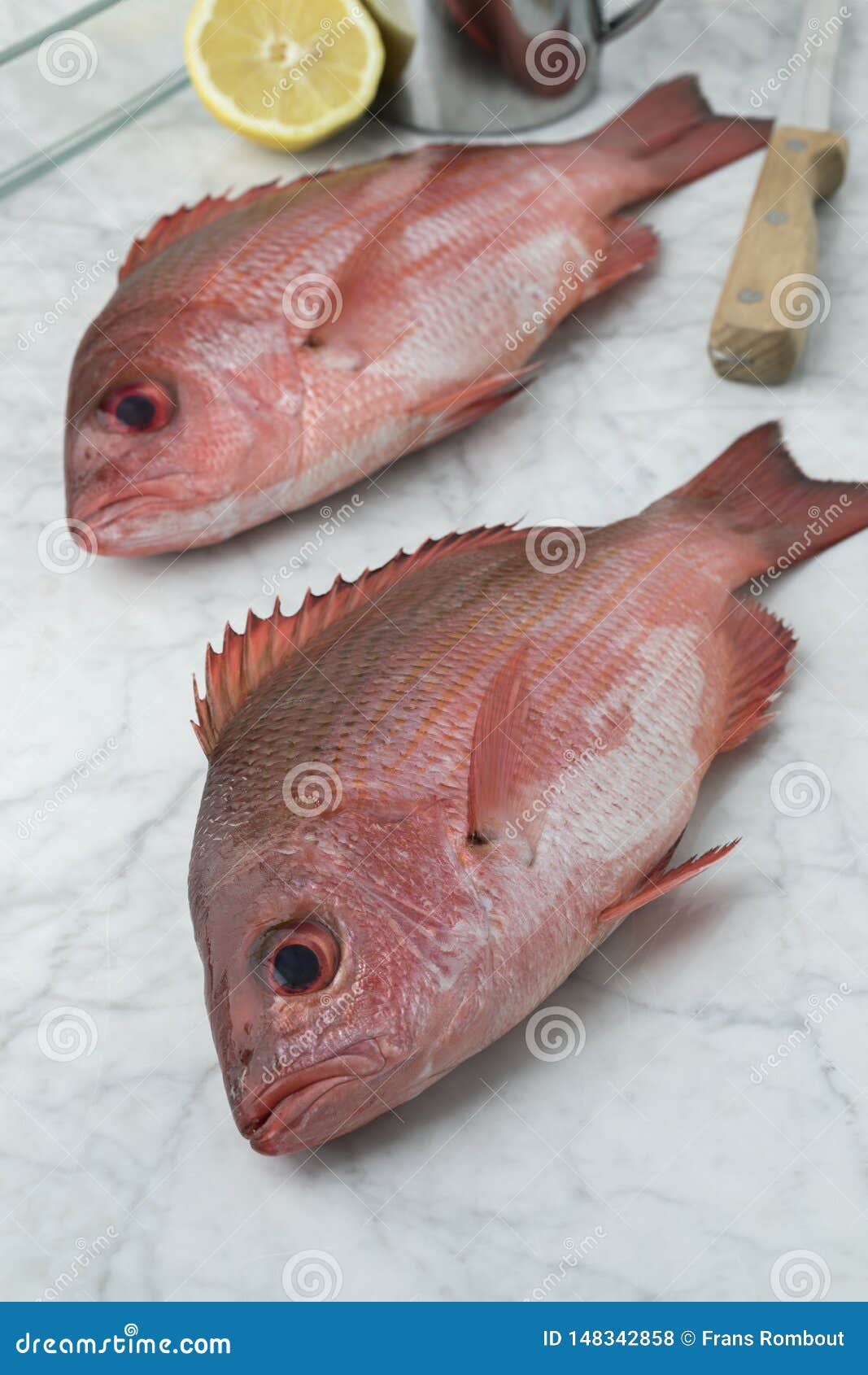 Two Northern Red Snappers in the Kitchen Stock Photo - Image of ...