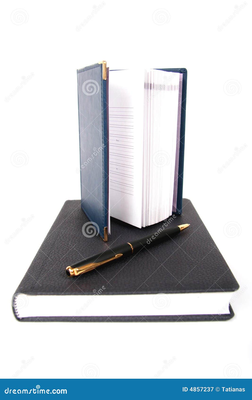 Two notebooks with pen. stock image. Image of professional - 4857237