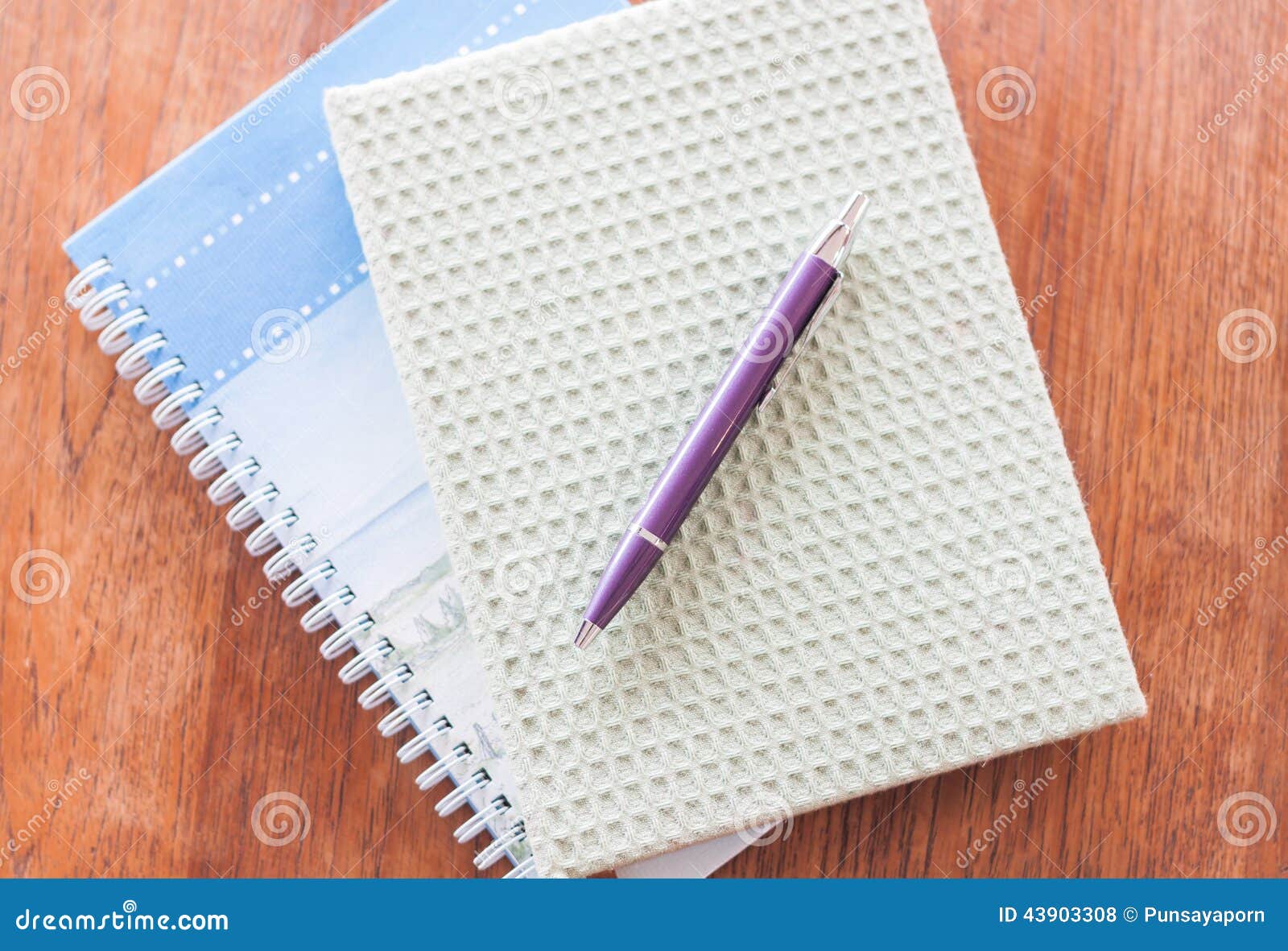 Two of notebooks and pen stock photo. Image of finance - 43903308