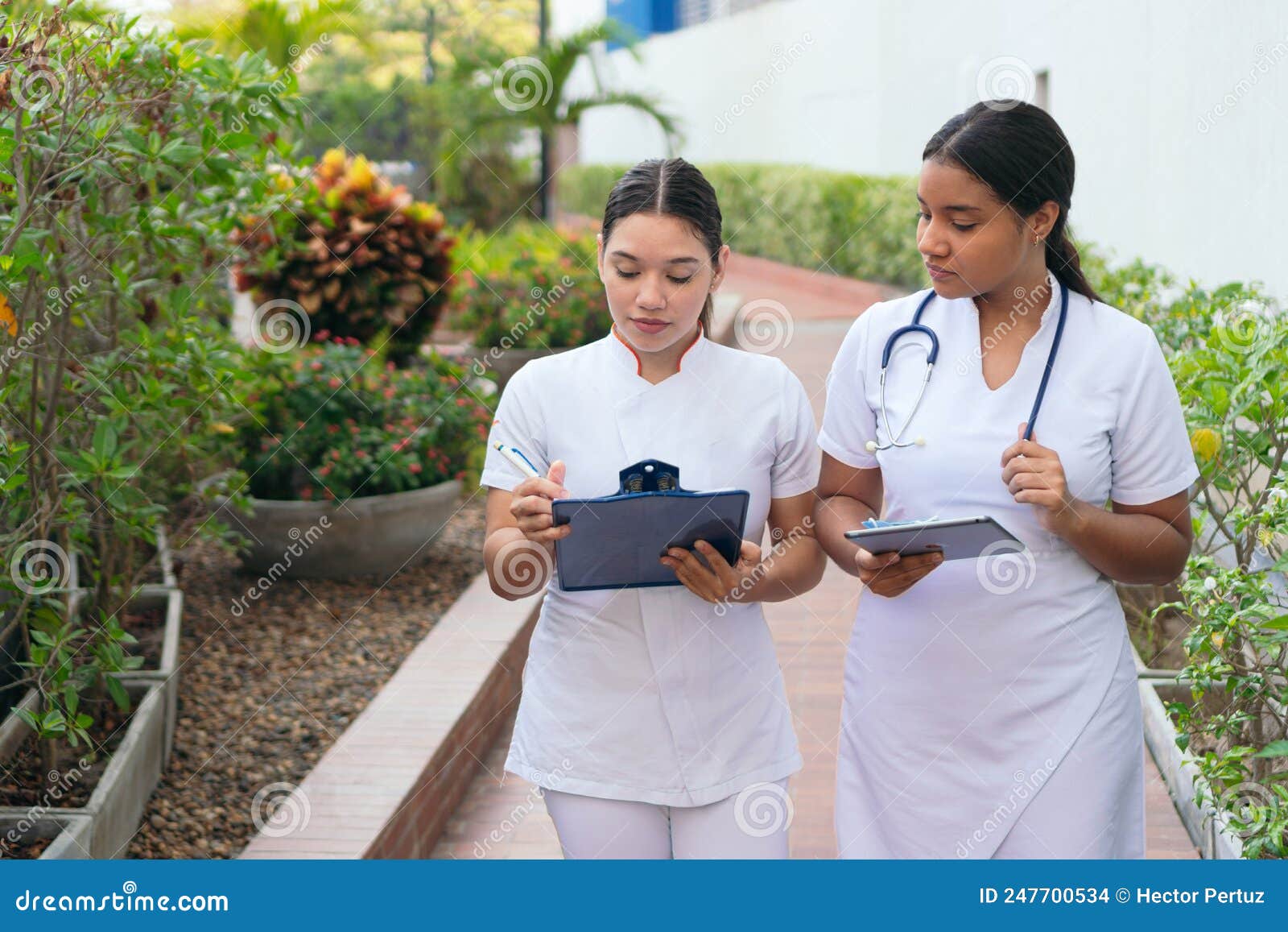 Two Nurses Walking Around Checking Patient Data Stock Photo - Image of ...