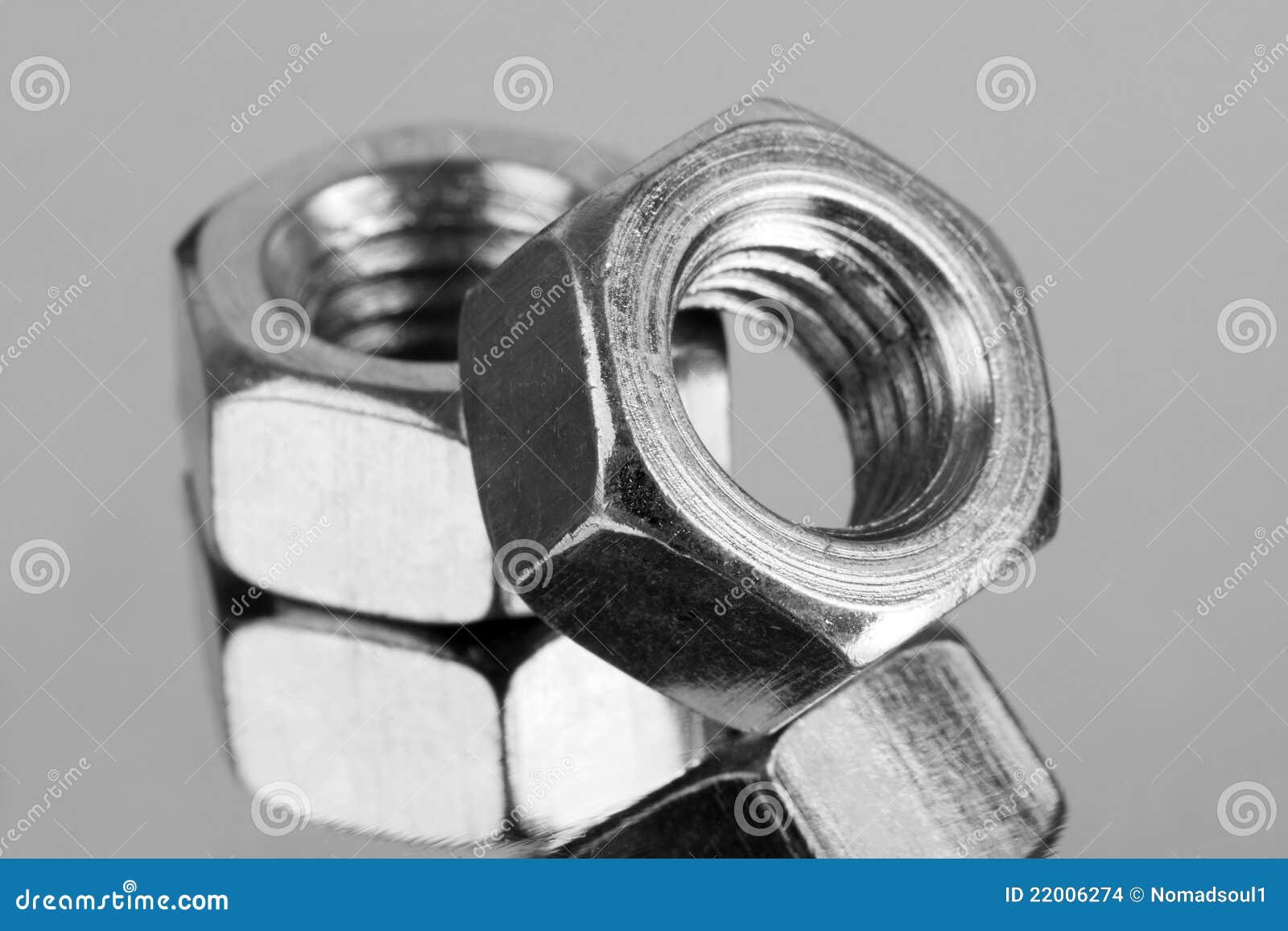 Two nuts stock photo. Image of indoors, nuts, grey, assorted - 22006274