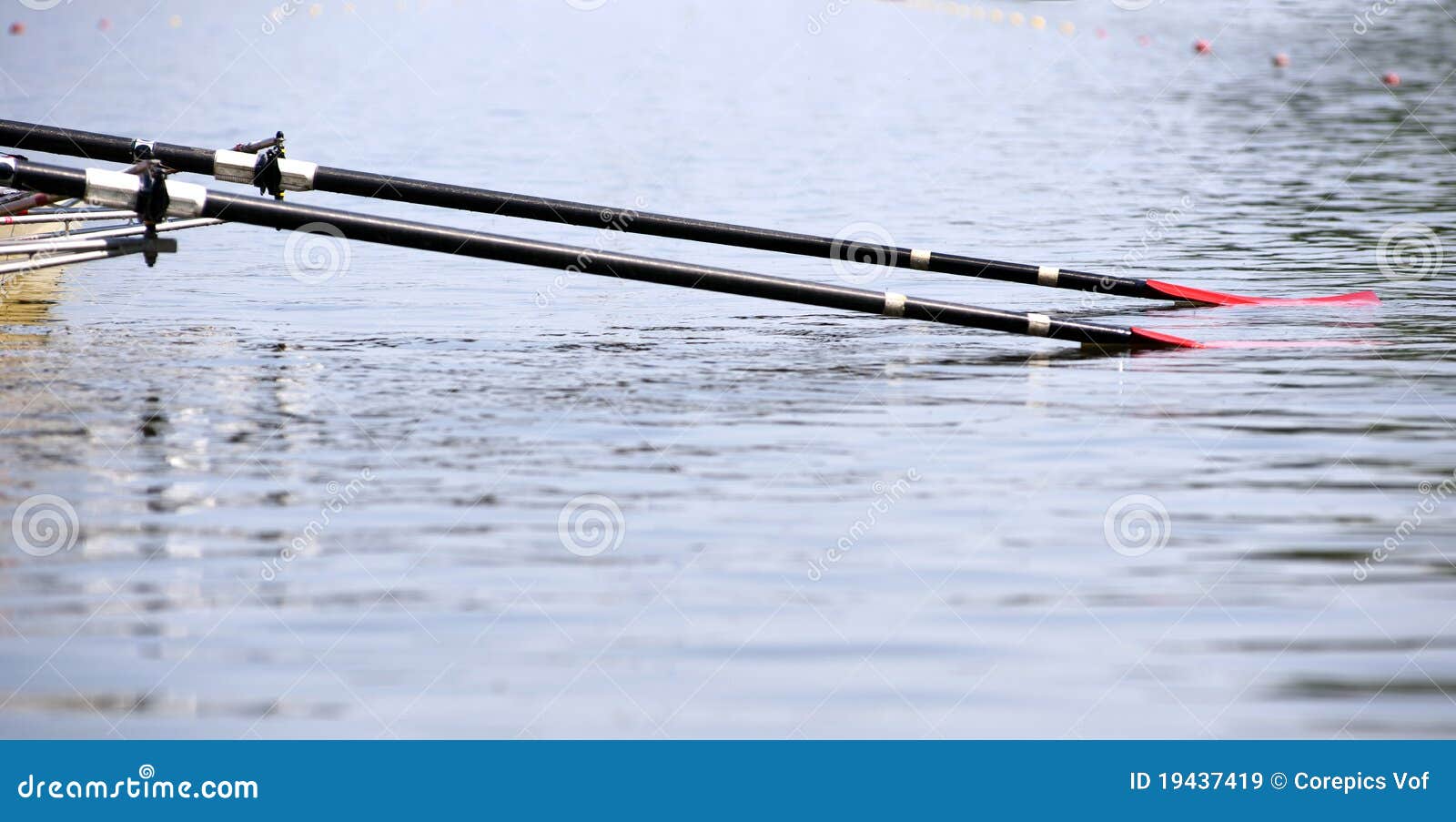 Two Oars stock image. Image of sports, watersports, riggers - 19437419