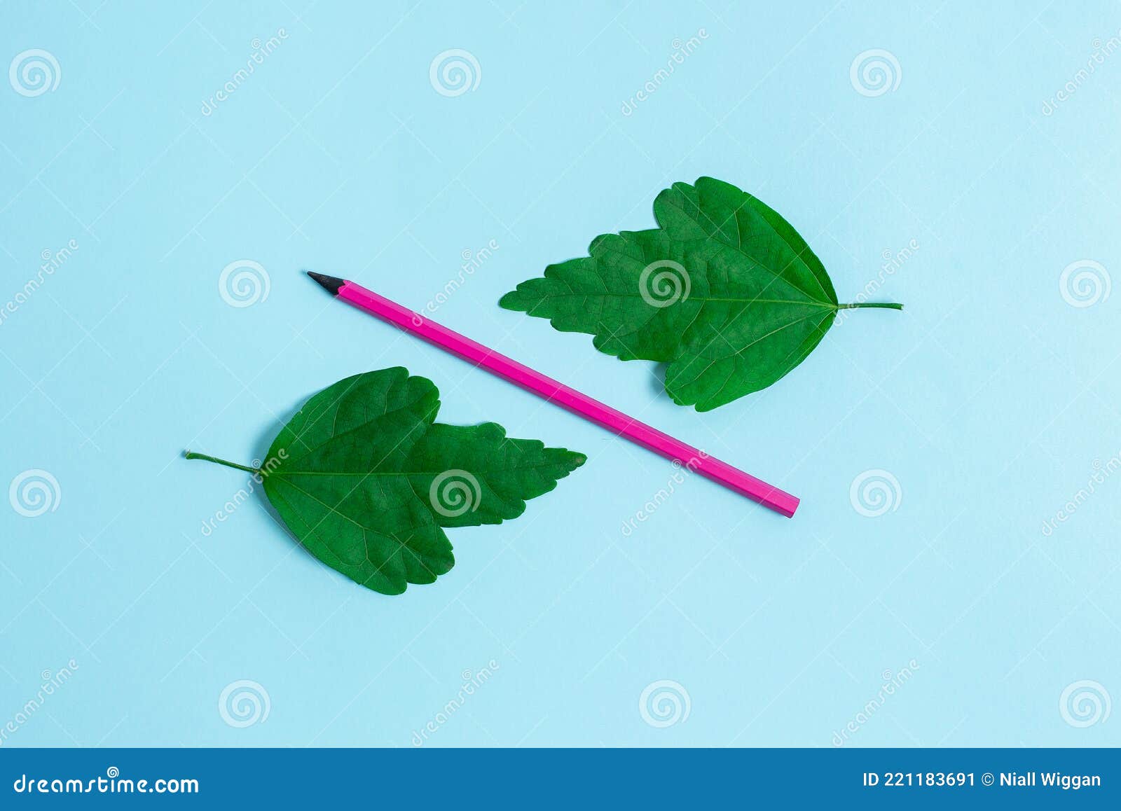 Comparison of Two Objects Blocks Pencils Sticker Notes Facing Inward ...