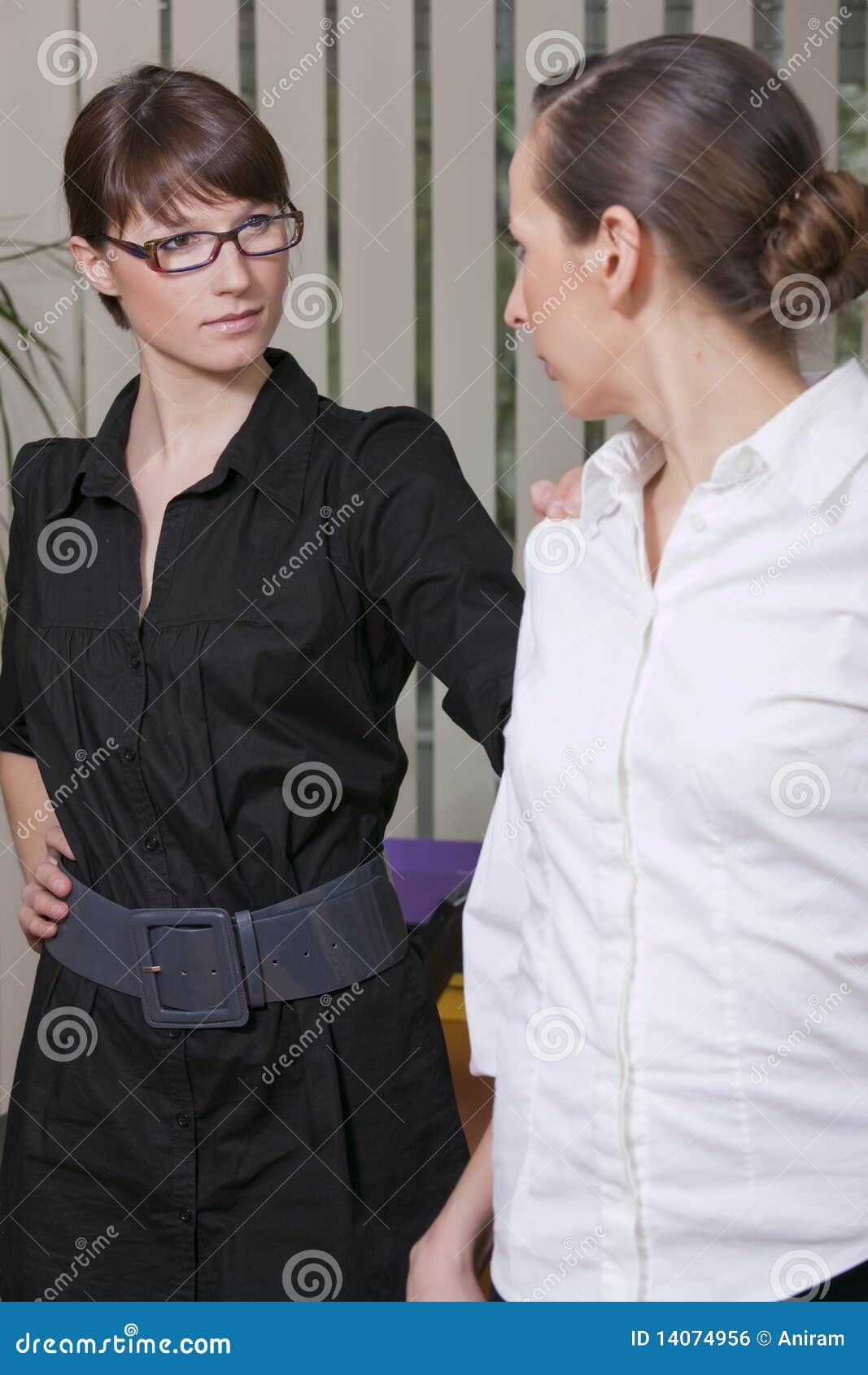 Two office women stock photo. Image of teamwork, discussion - 14074956