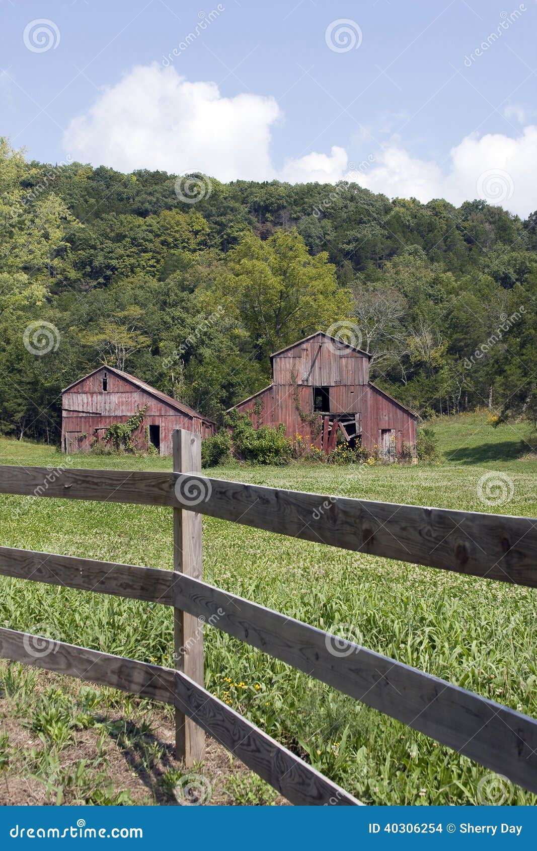 Two Old Red Barns stock photo. Image of historic, grey - 40306254
