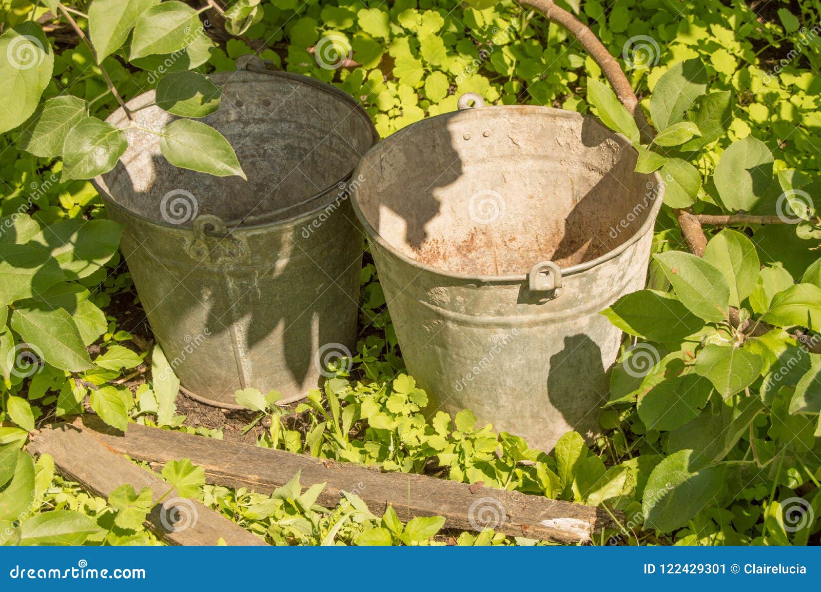 Two Old Rusty Iron Buckets in the Garden Grass Stock Image - Image of ...