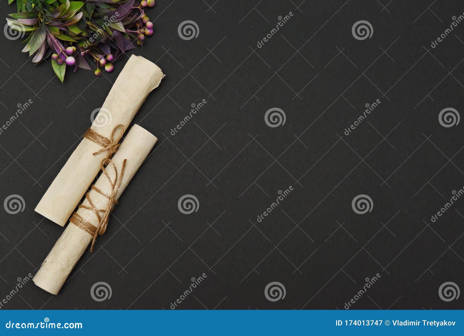 Two Old Scrolls and an Artificial Branch Stock Image - Image of ...