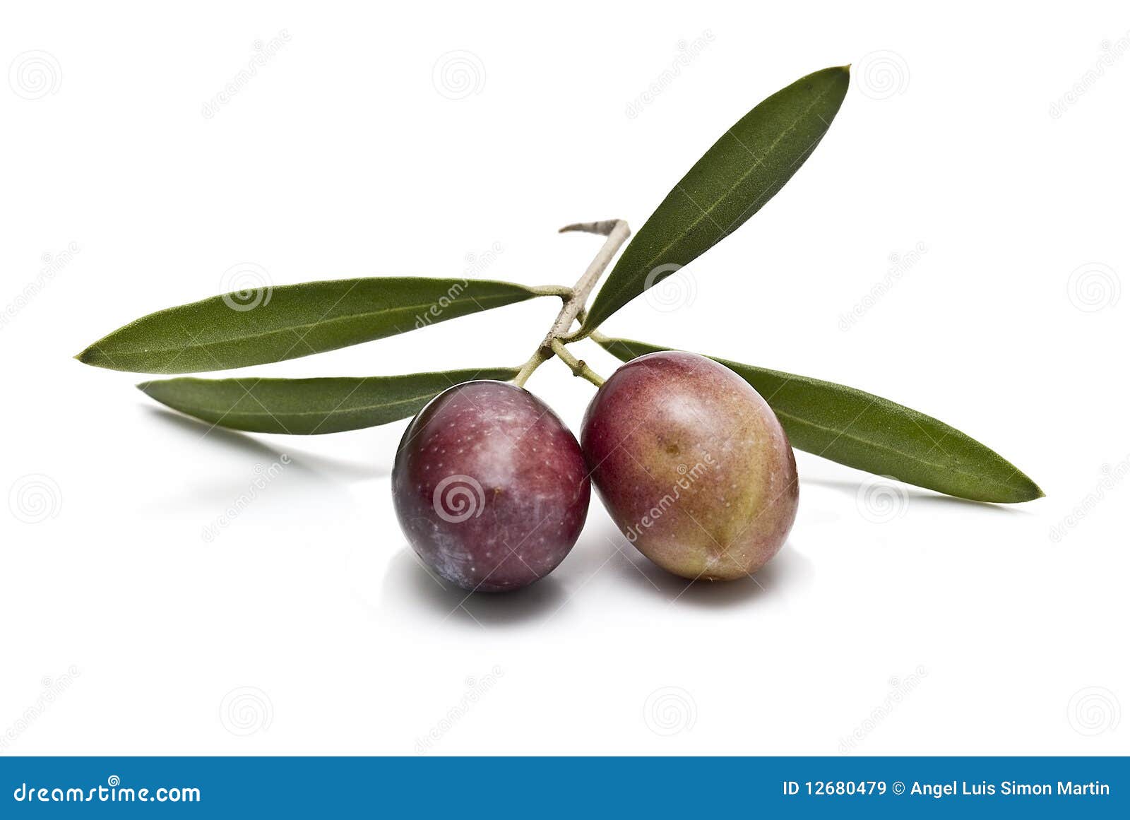 Two olives. stock image. Image of background, agriculture - 12680479