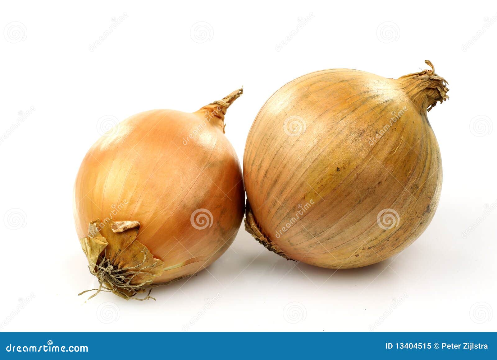 Two onions stock image. Image of groceries, group, root - 13404515