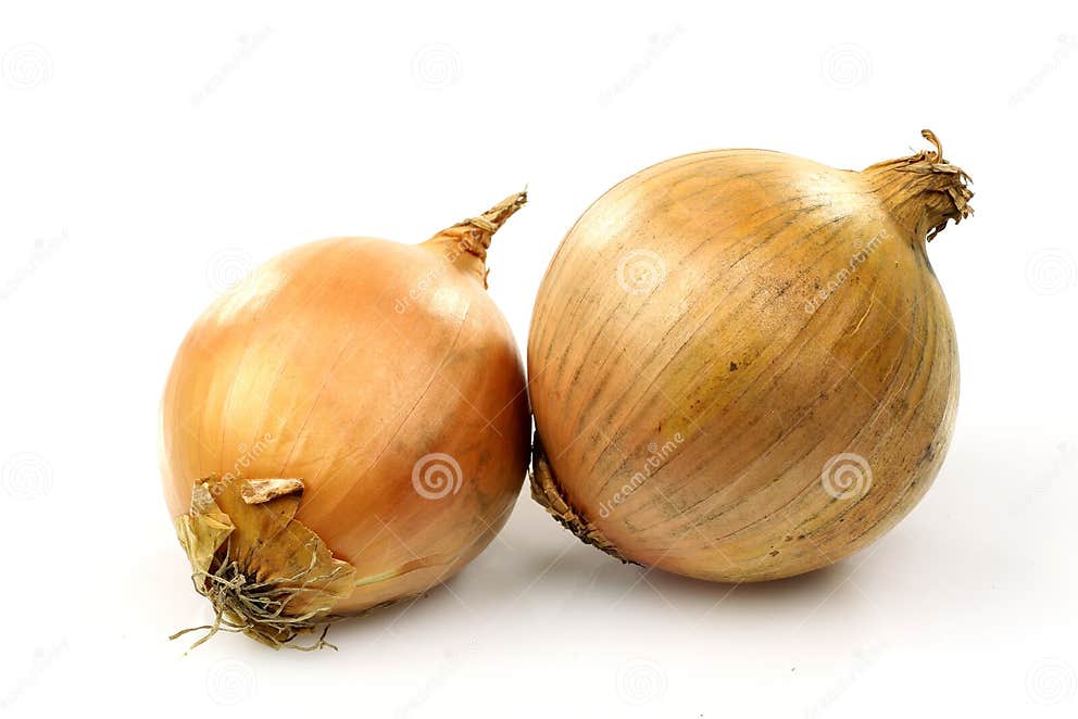 Two onions stock image. Image of groceries, group, root - 13404515