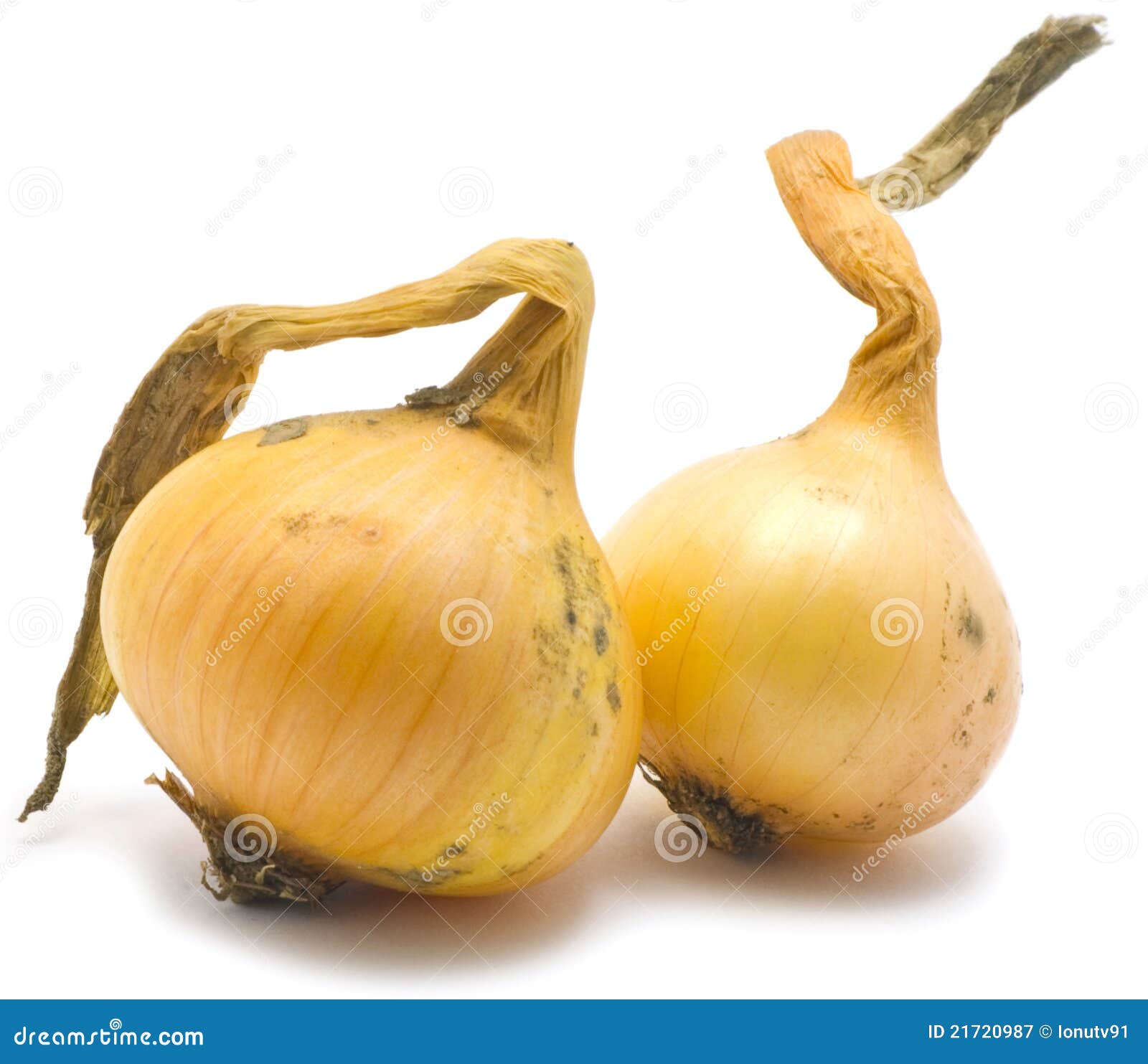 Two onions stock image. Image of shadows, nature, home - 21720987