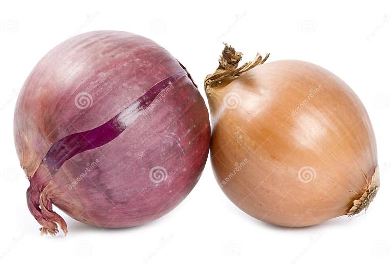 Two Onions stock photo. Image of food, onions, vegetable - 8582446