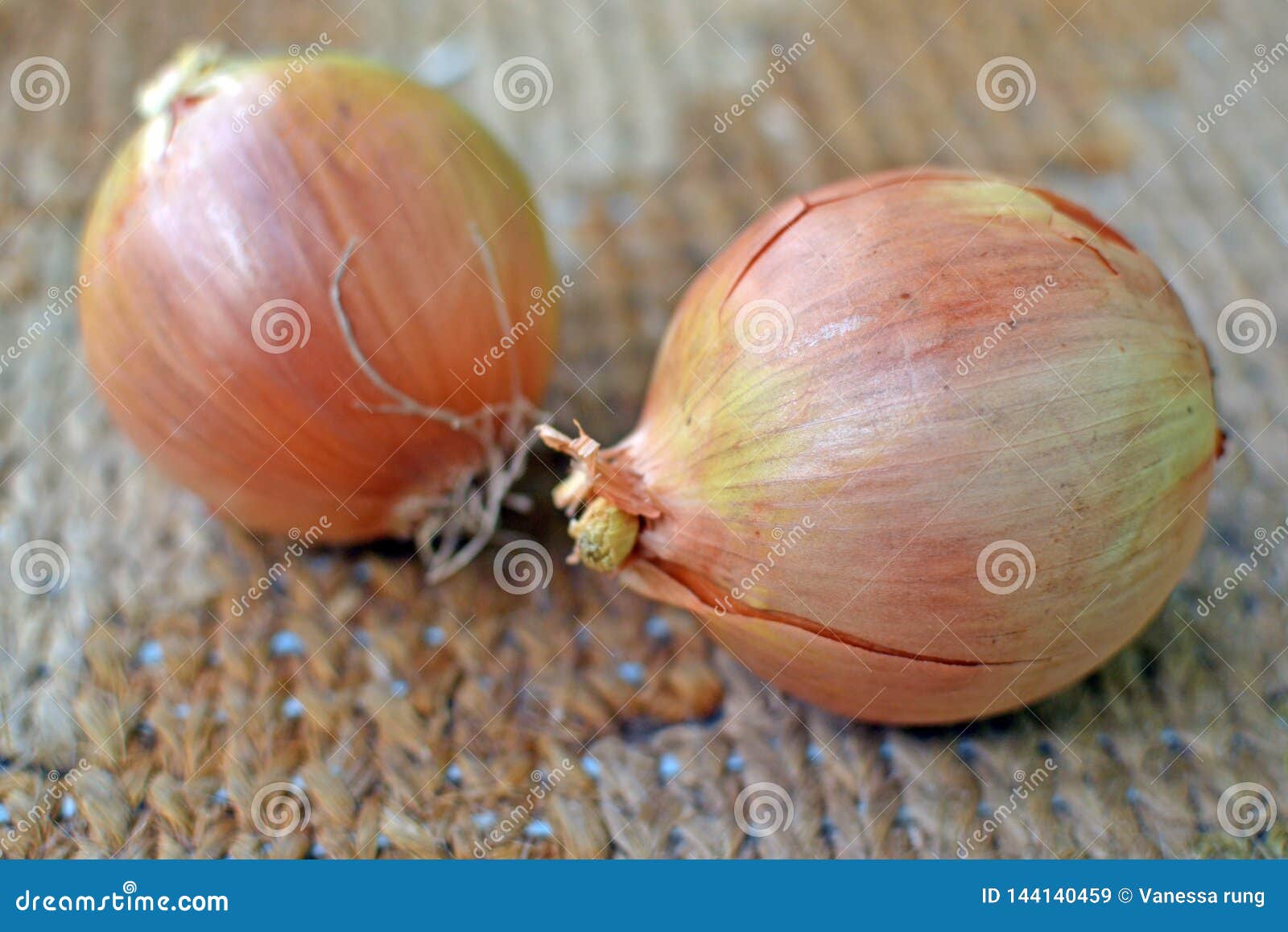 Two onions closeup stock image. Image of closeup, healthy - 144140459