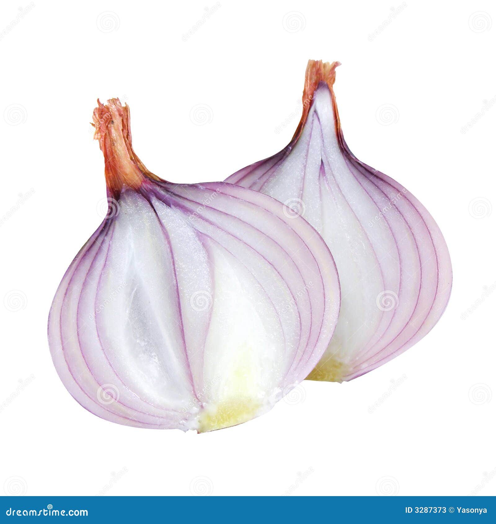 Two onions cut vegetable stock image. Image of cook, juicy - 3287373