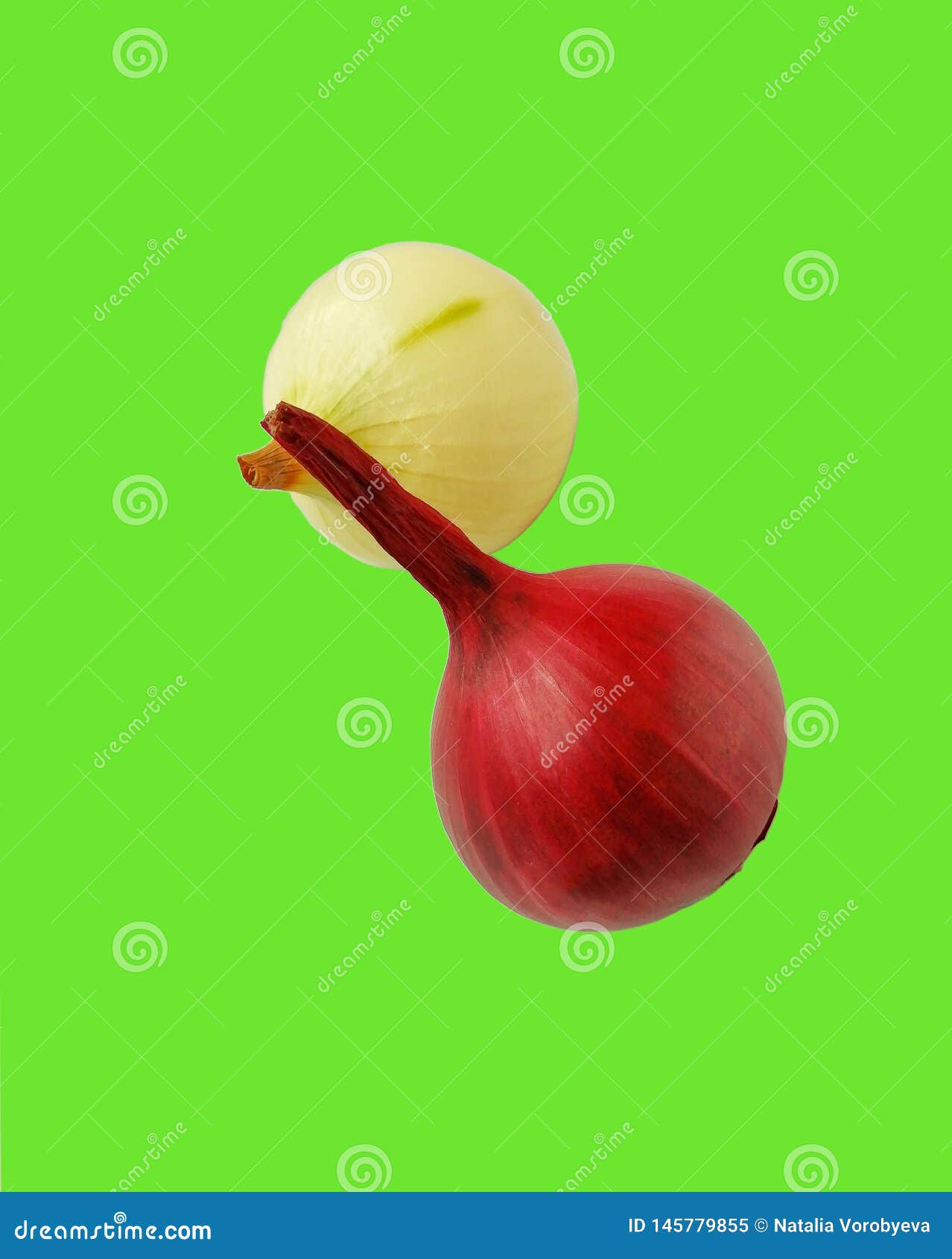 Two Onions on a Green Background Stock Image - Image of healthy ...