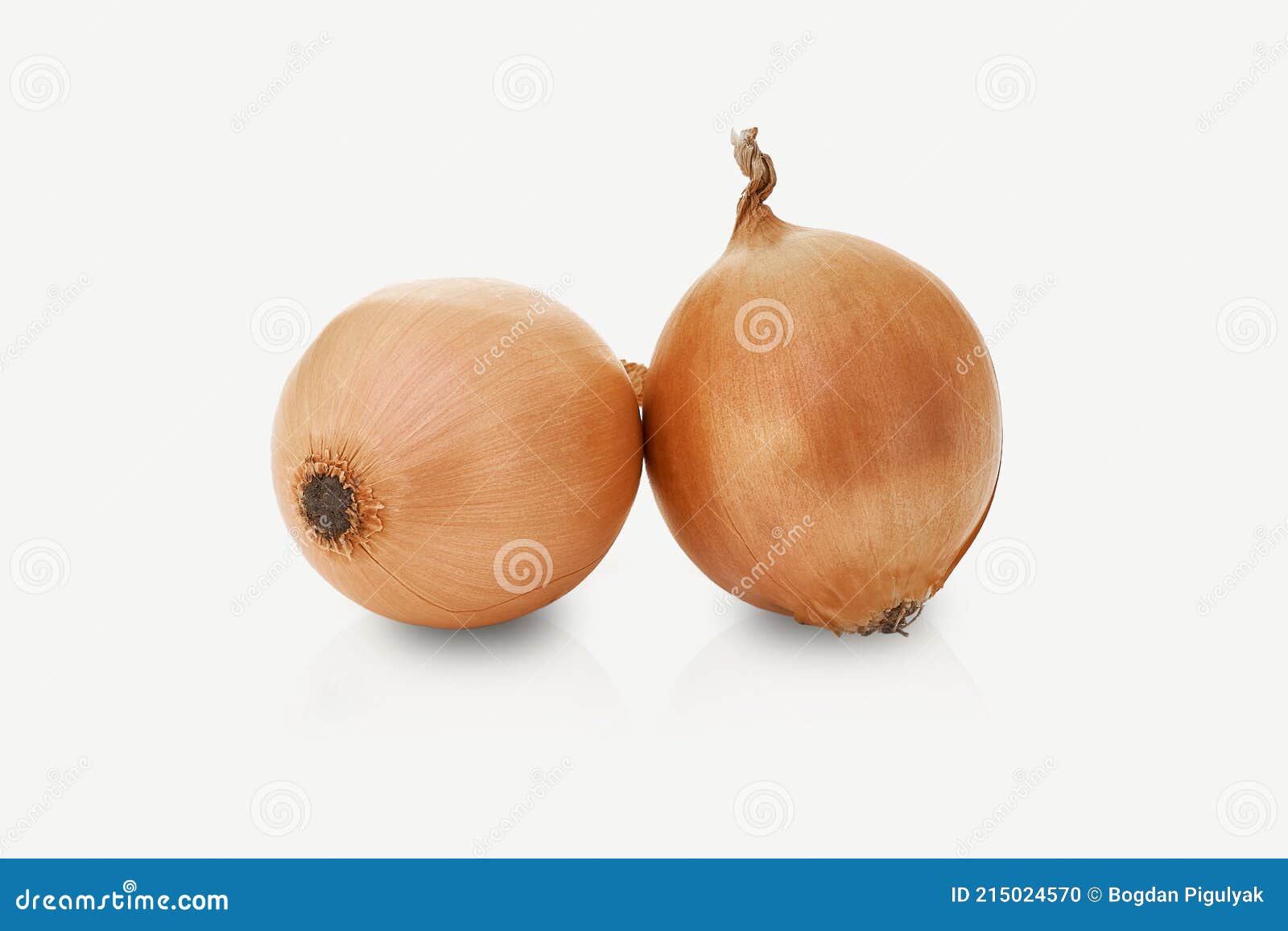 Two Onions Isolated on a White Background Stock Photo - Image of ...
