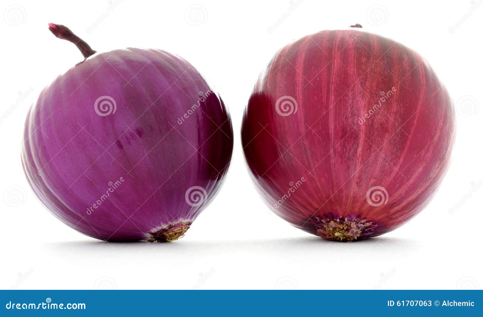 Two Onions with Red and Purple Clean Smooth Skins Isolated Stock Image ...