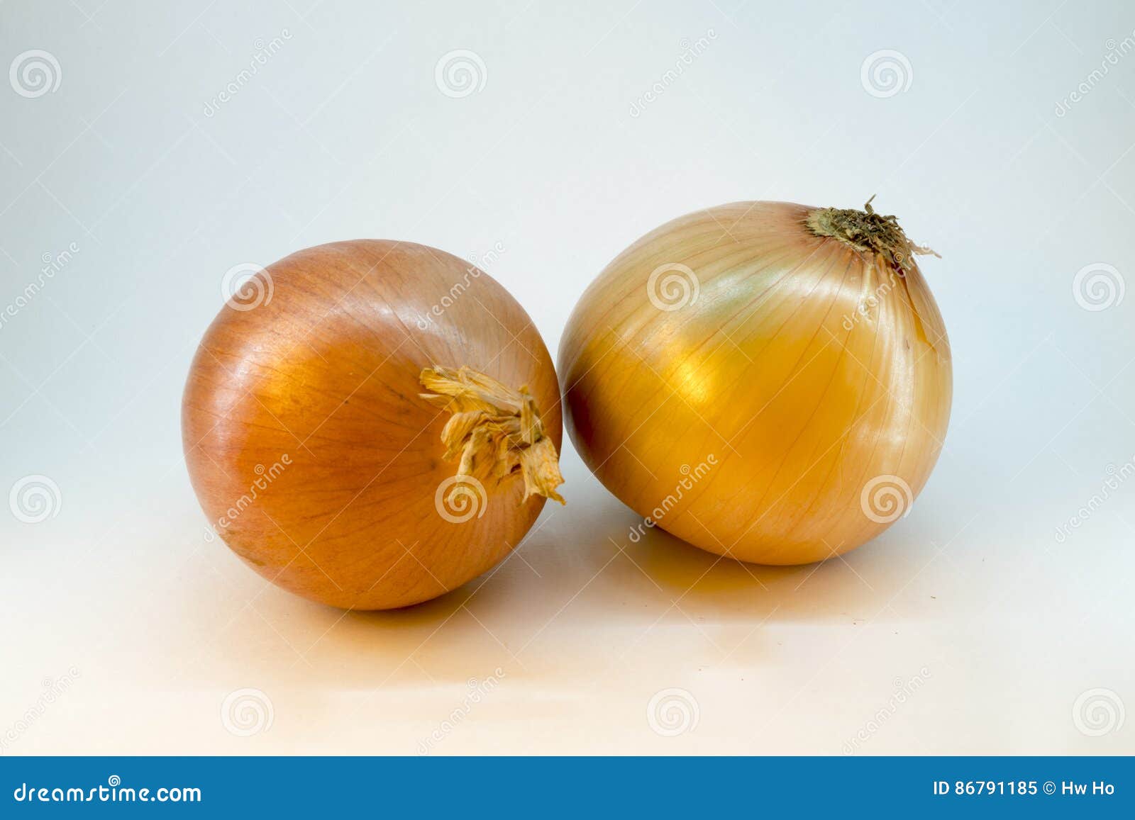 Two Onions on a White Background, Isolated Stock Image - Image of ...