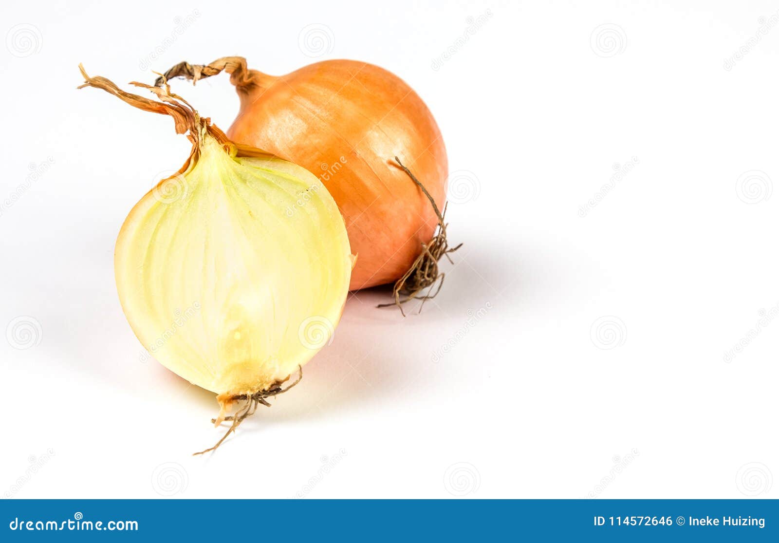 Two Onions with a White Background Stock Photo - Image of dinner ...