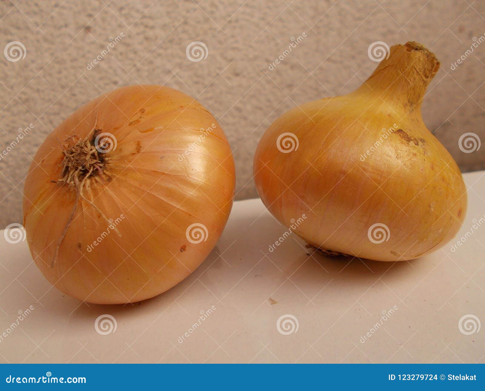 Two onions stock photo. Image of vegetarian, cepa, vegetables - 123279724
