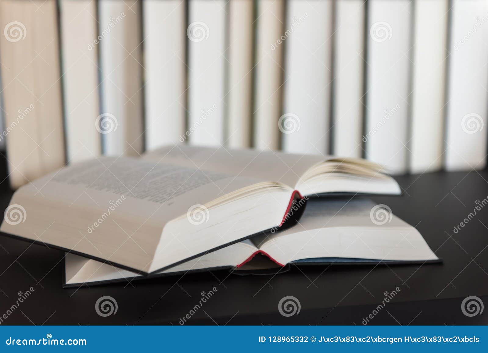 Two Open Books in Front of a Book Series Stock Photo - Image of pages ...