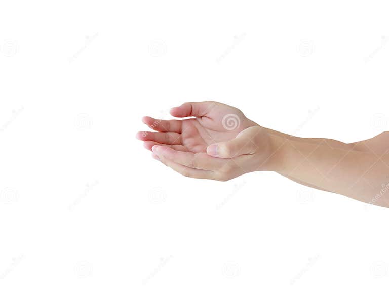 Two Open Empty Hands with Palms Up Isolated on White Stock Image ...