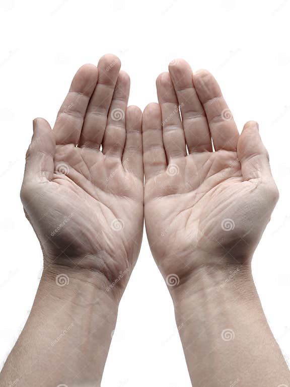 Two open hand stock photo. Image of palm, isolated, giving - 21434232