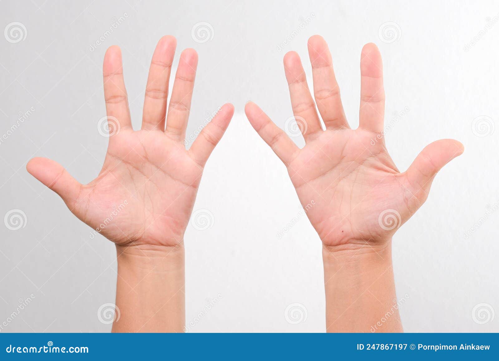 Two Open Hands Empty Isolated on White Background. the Palm of a Clean ...