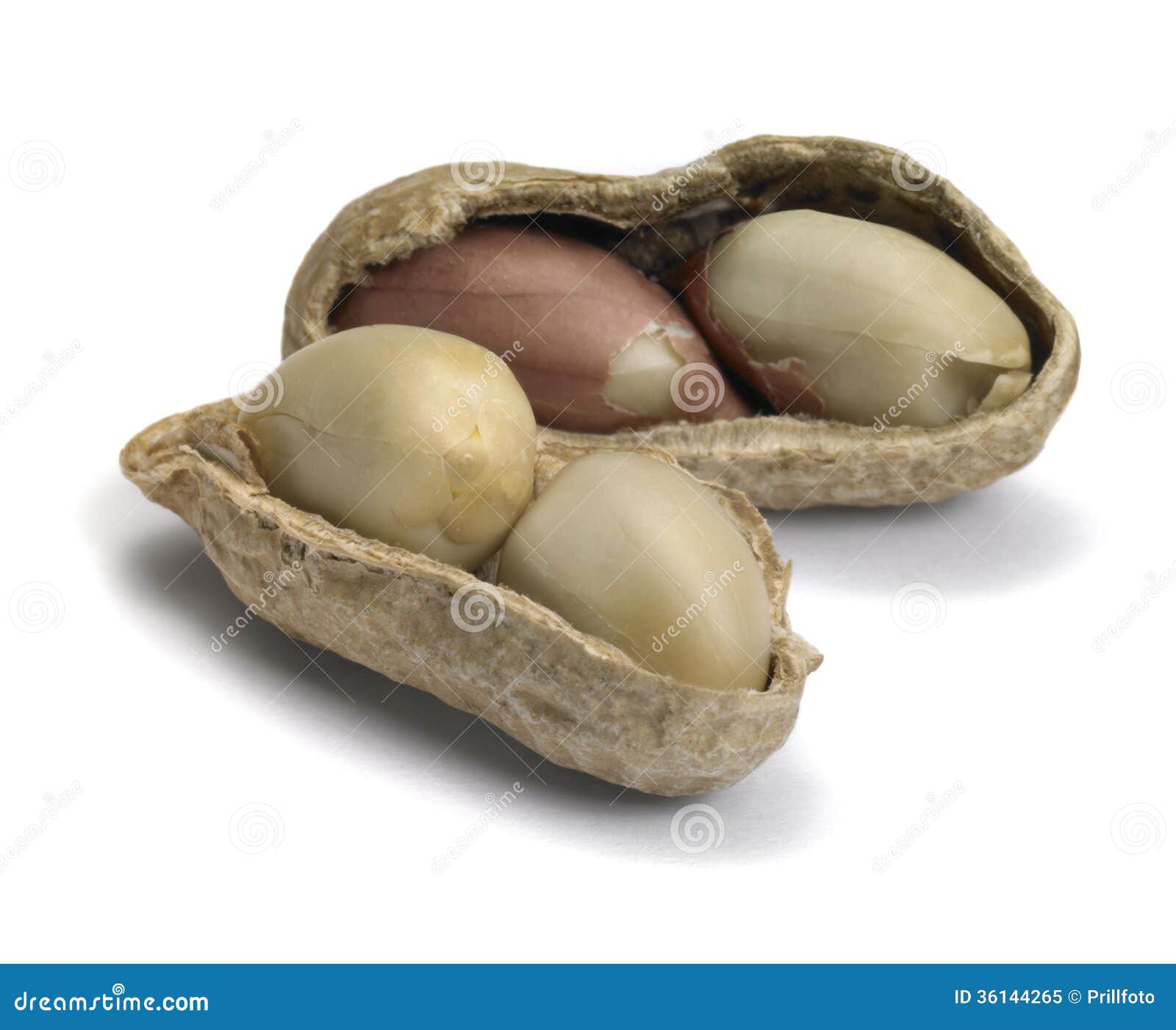 Two open peanuts stock image. Image of rough, closeup - 36144265