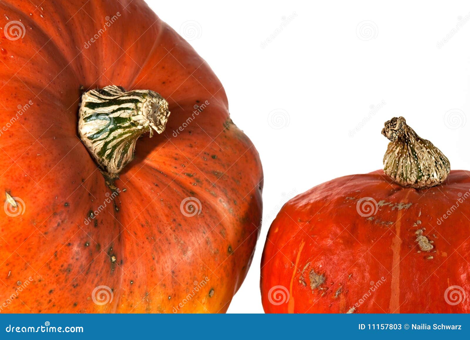 Two Orange Colored Pumpkins on White Stock Image - Image of food, pile ...