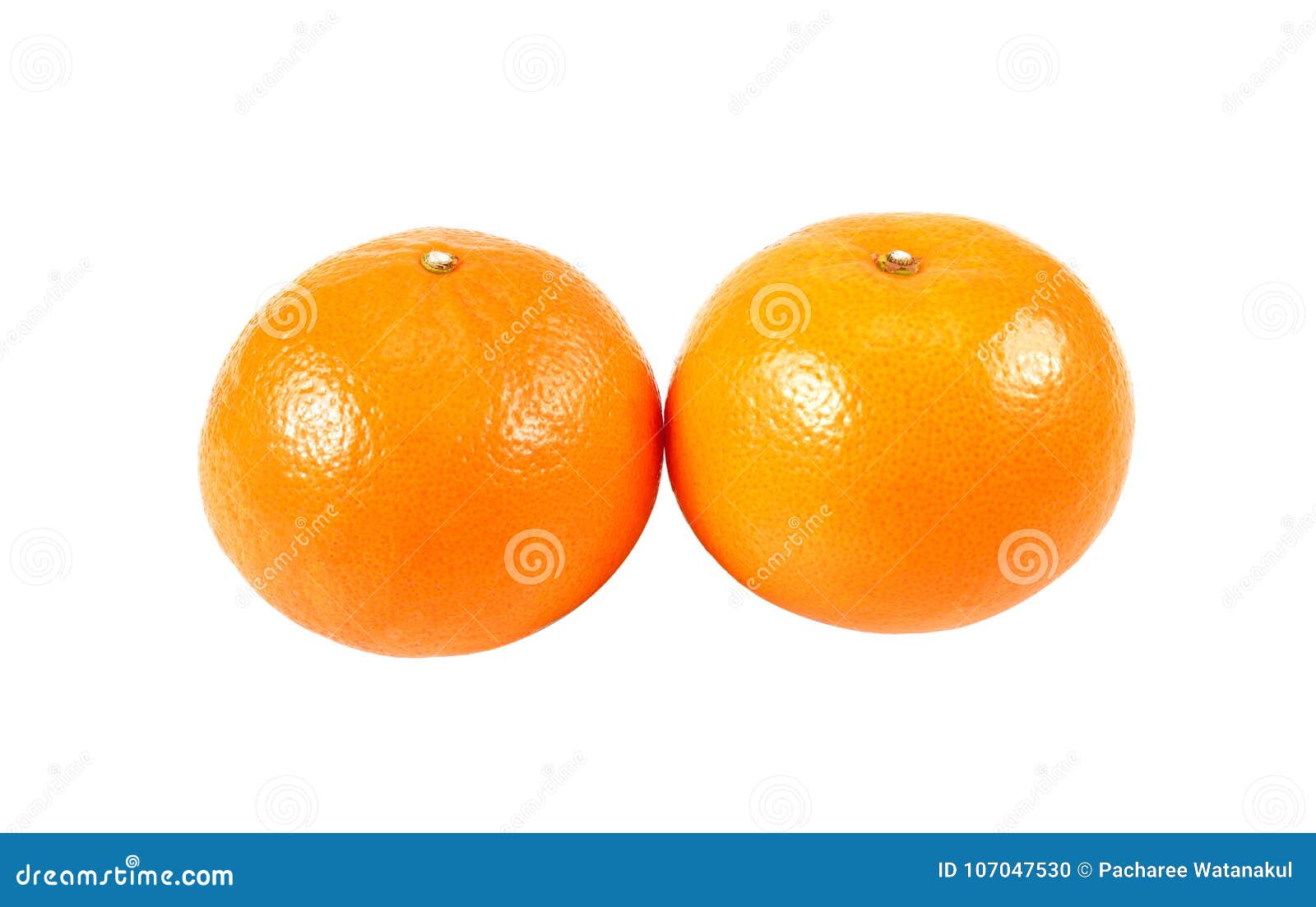 Two Orange Fruits Isolated on White Background Stock Photo - Image of ...