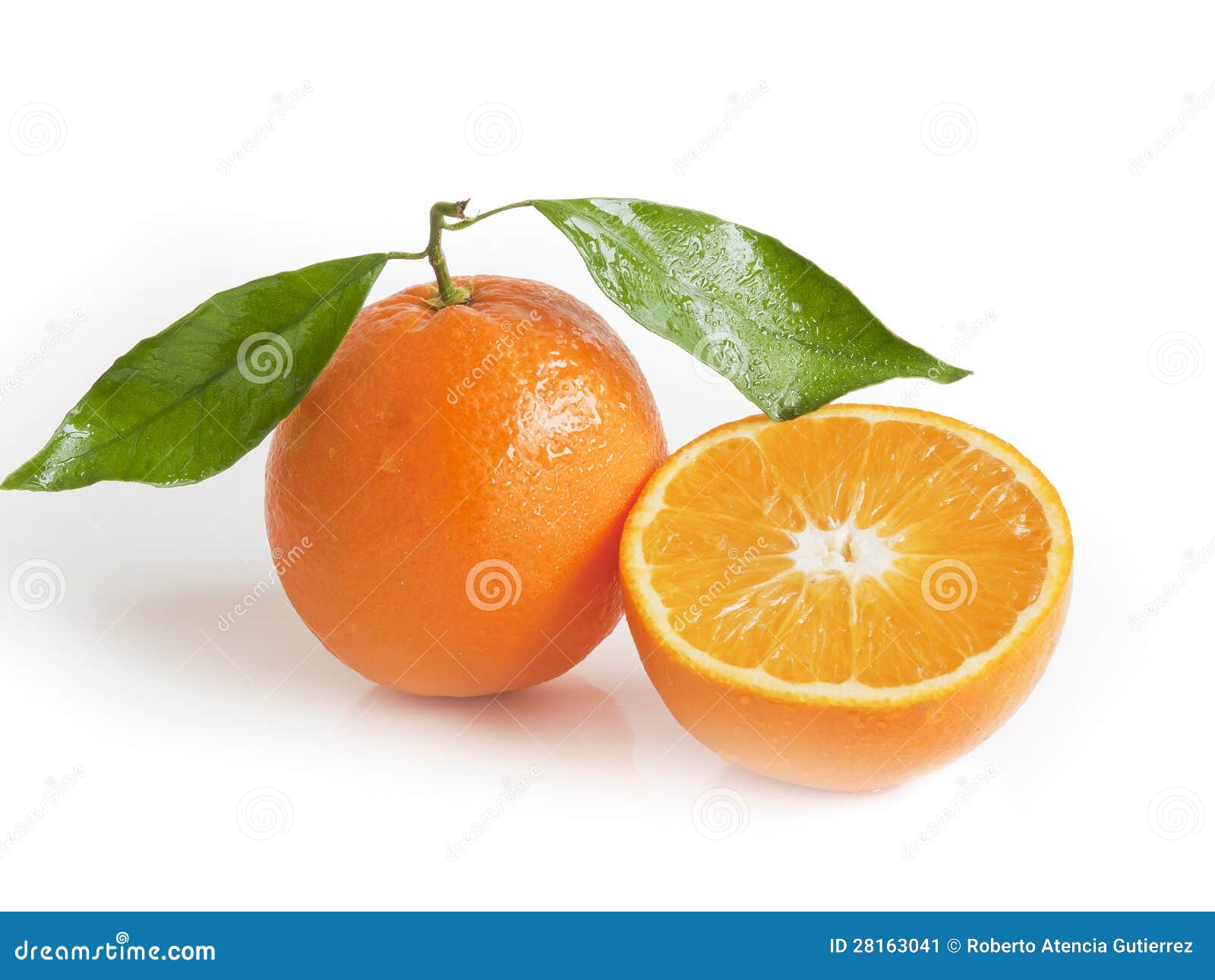 Two orange mandarins stock image. Image of citrus, background - 28163041