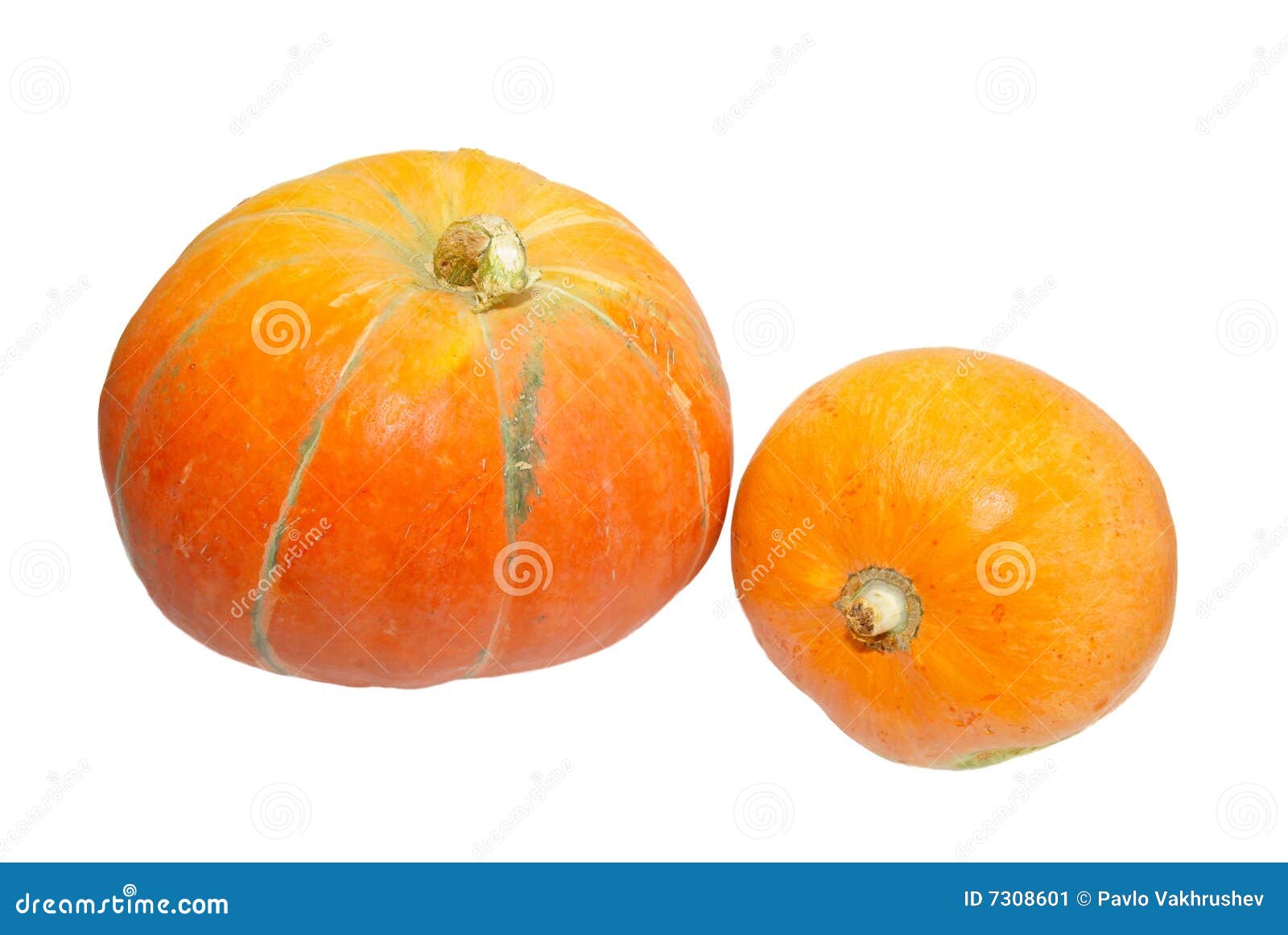 Two Orange Pumpkins Isolated on White. Stock Image - Image of gourd ...