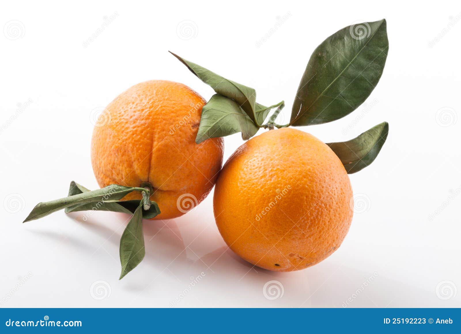 Two oranges stock image. Image of vegetarian, dessert - 25192223