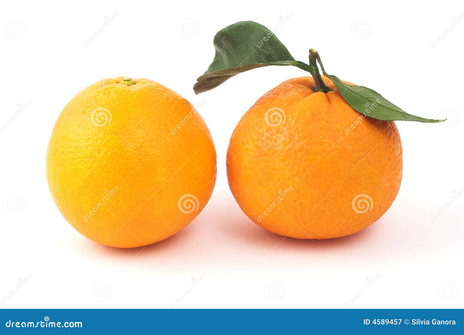 Two oranges stock image. Image of fresh, food, fruits - 4589457