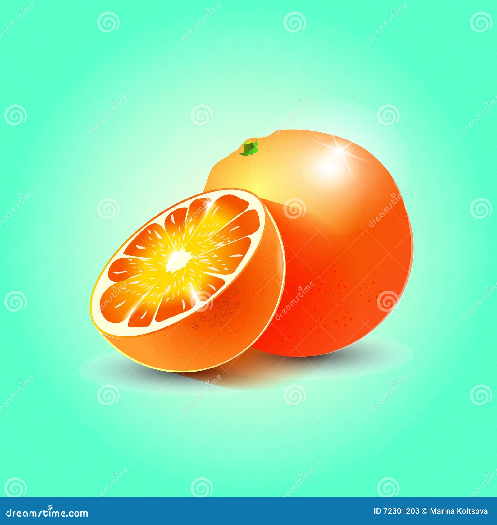 Two oranges stock vector. Illustration of background - 72301203