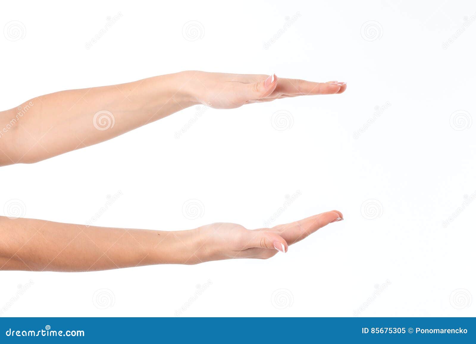 Two Outstretched Hands Forward One Opposite the Other Isolated on White ...