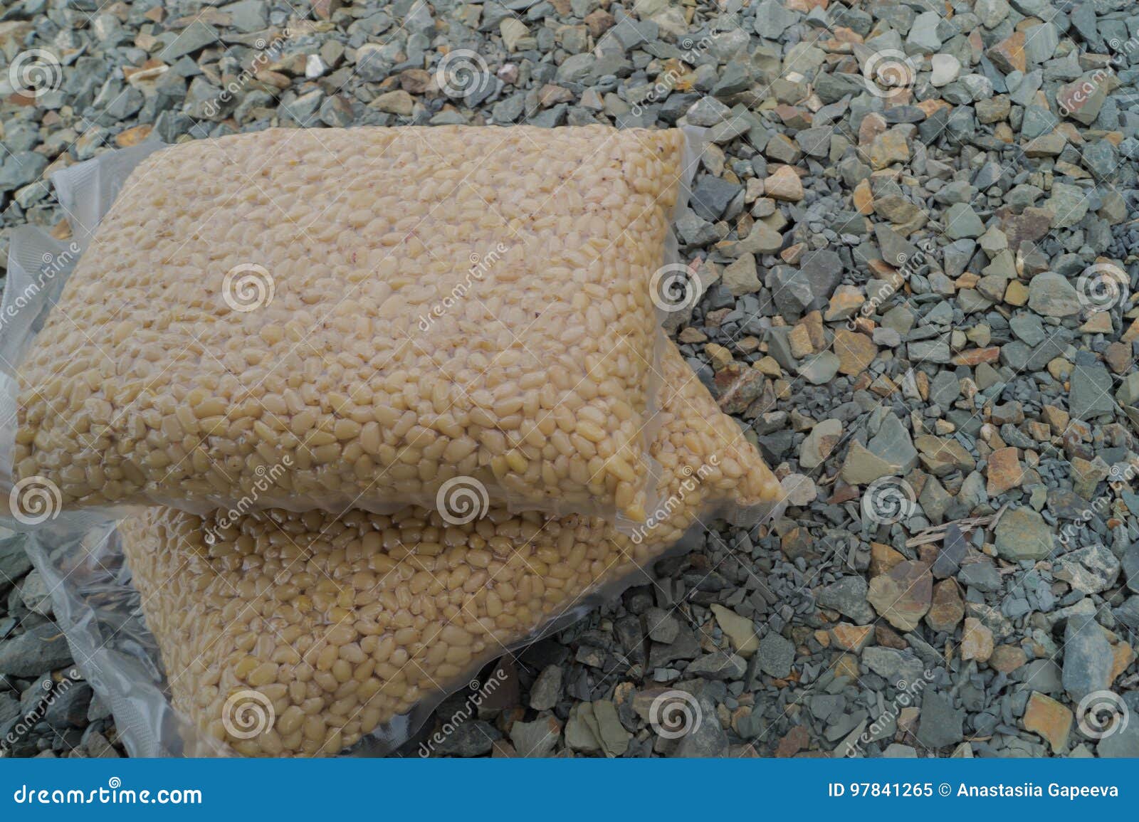 Two Packs of Pine Nuts on the Crushed Stone Stock Image - Image of diet ...