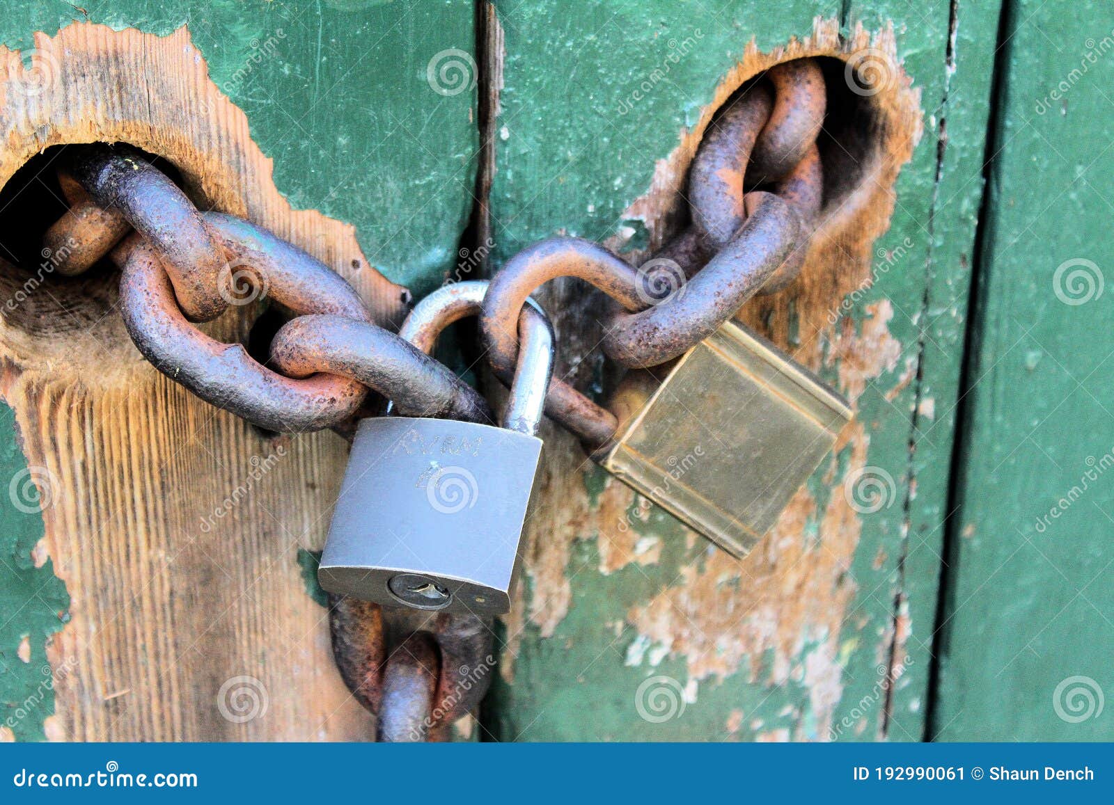 Two Padlocks and Chain on Green Doors with Worn Paint Stock Image ...