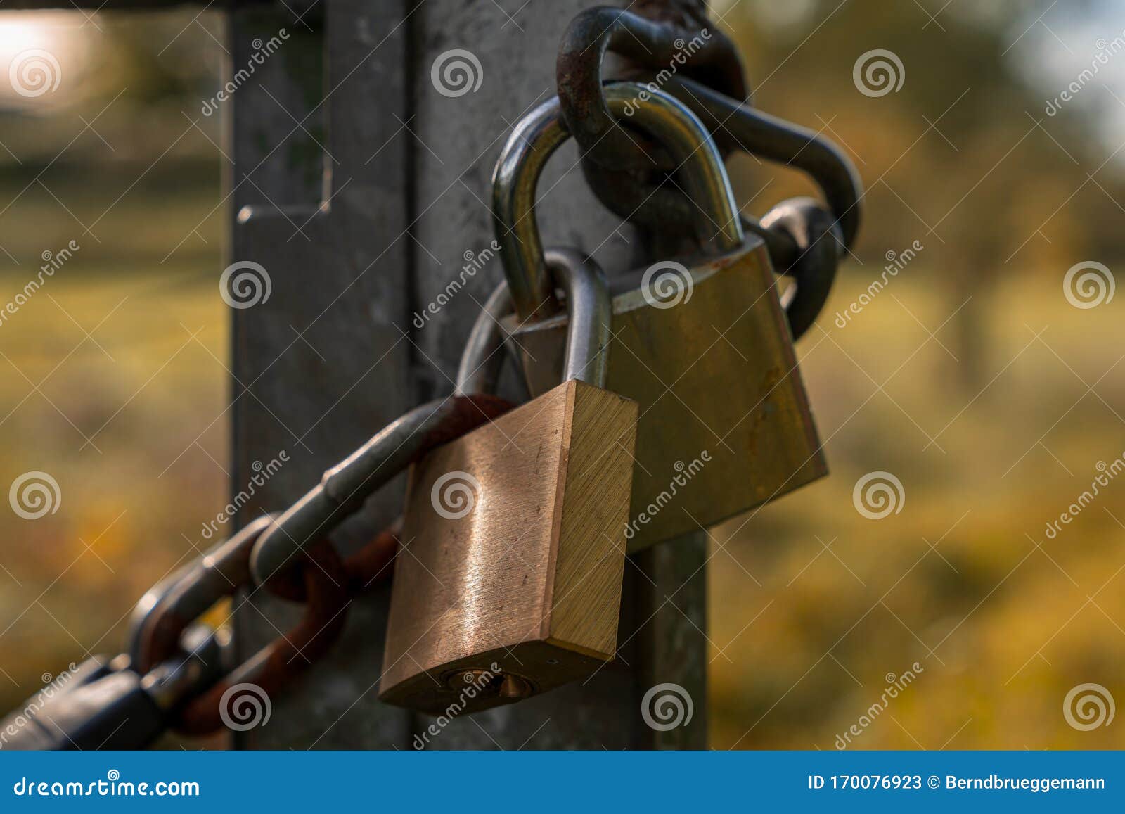 Two padlocks on a gate stock image. Image of padlock - 170076923