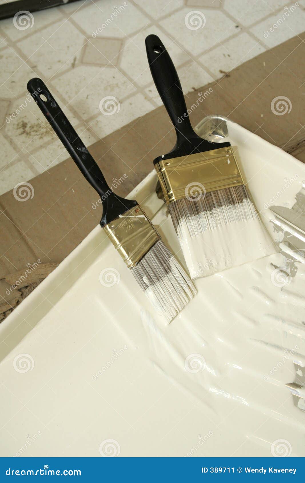 Two Paint Brushes stock image. Image of brushes, refurbish - 389711
