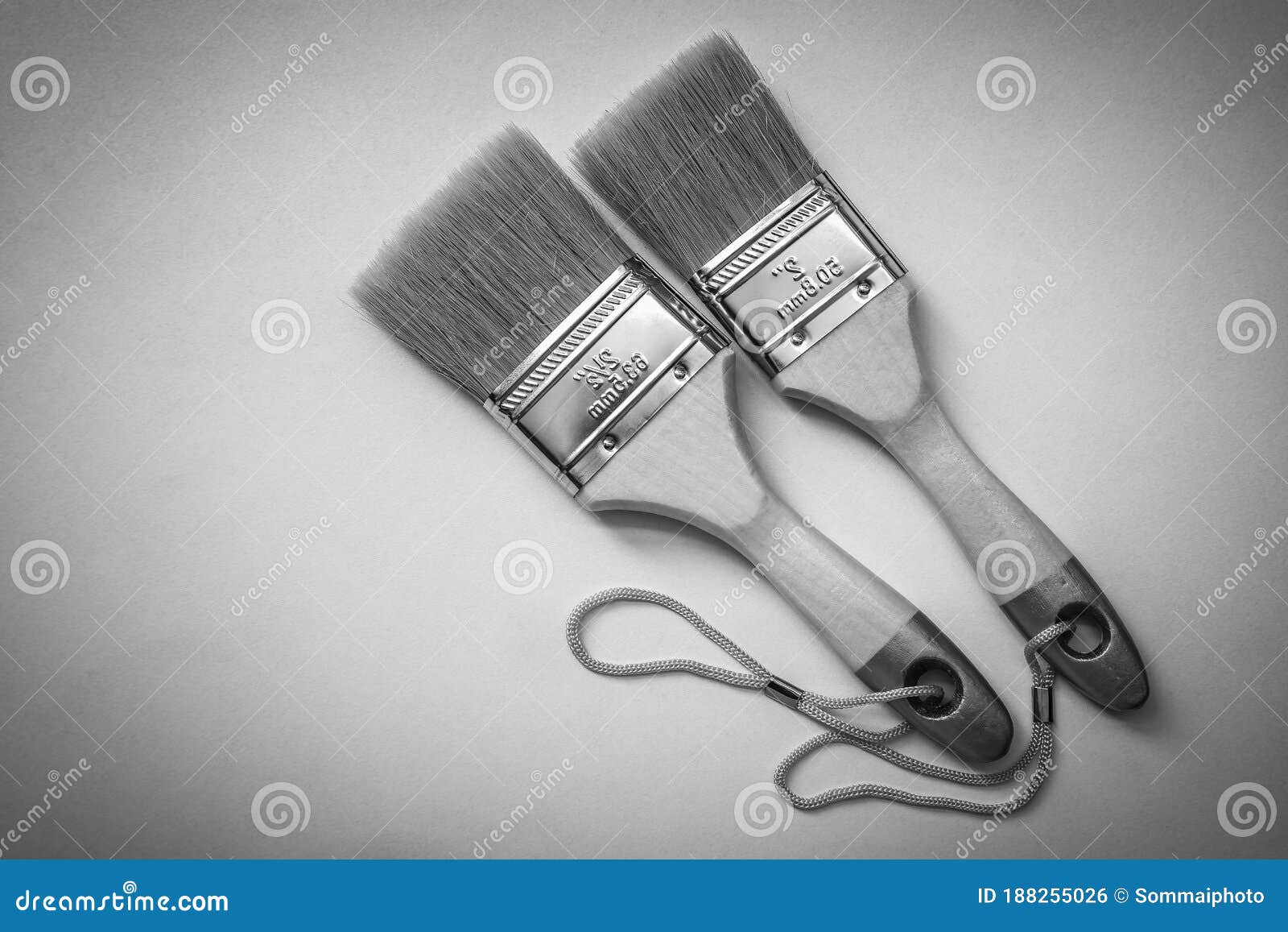 Two Paint Brushes, Views Isolated on White Stock Photo - Image of ...