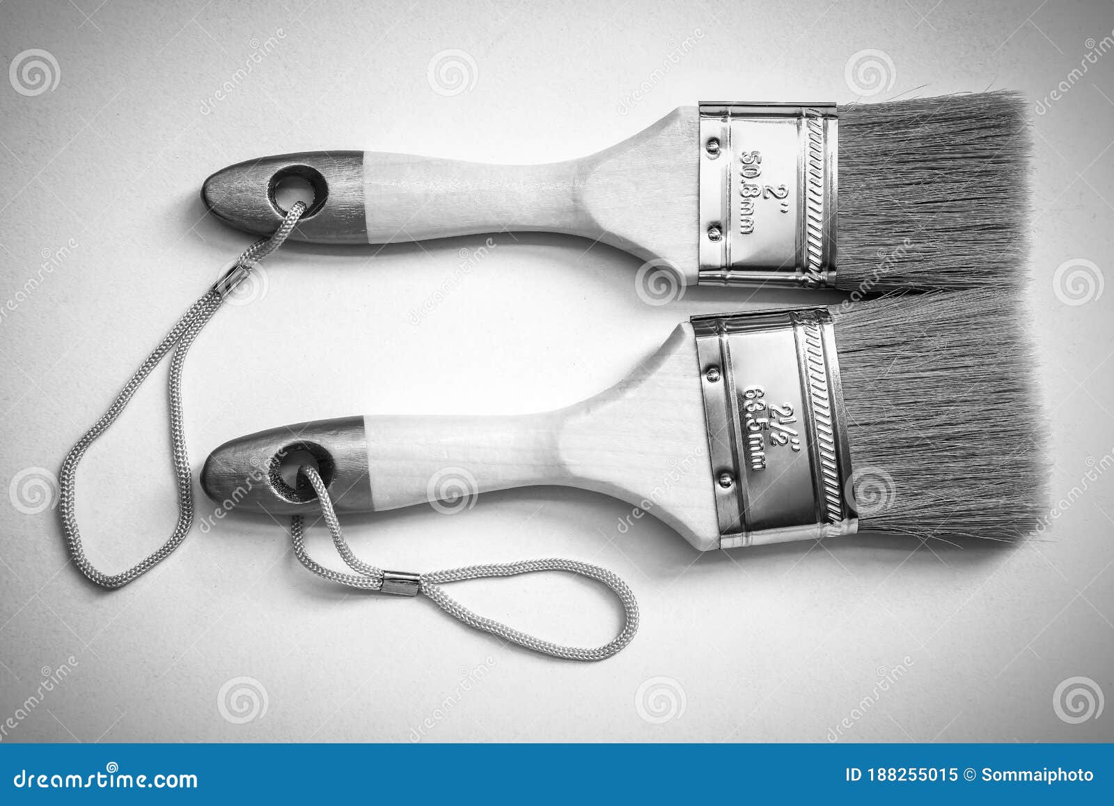 Two Paint Brushes, Views Isolated on White Stock Image - Image of brush ...