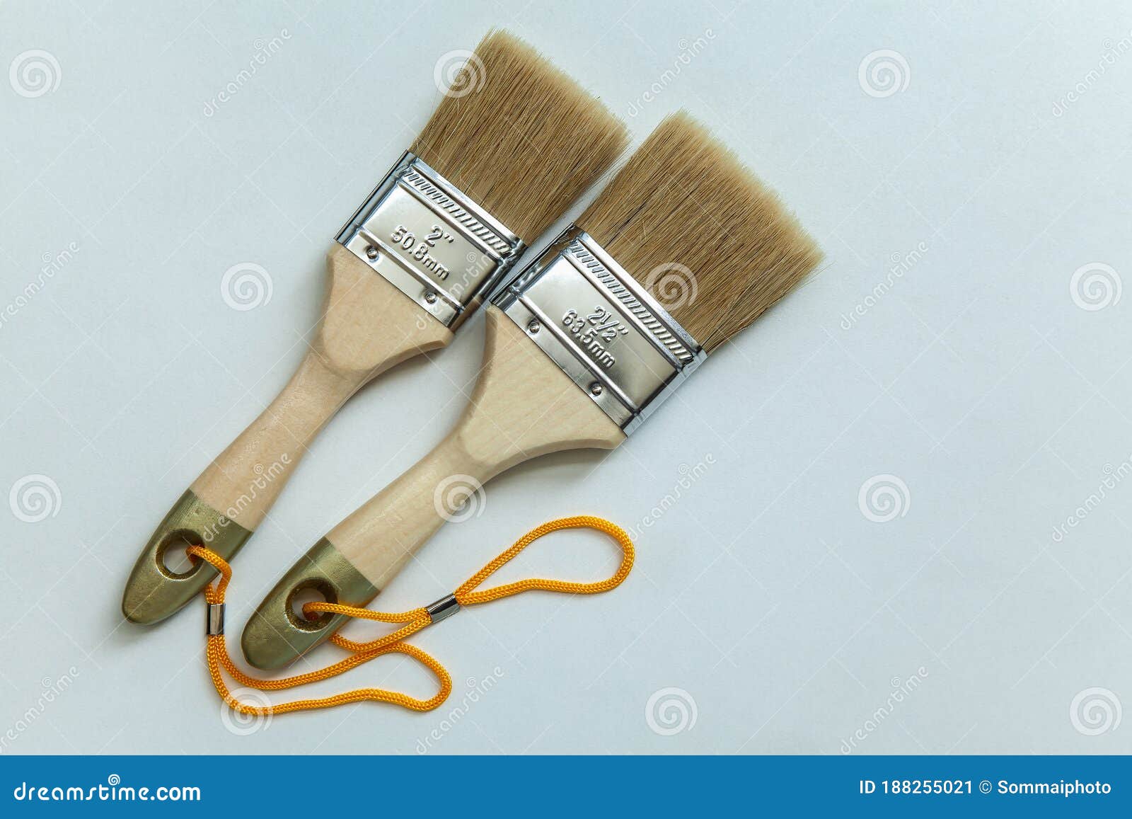 Two Paint Brushes, Views on White Stock Image - Image of views, closeup ...