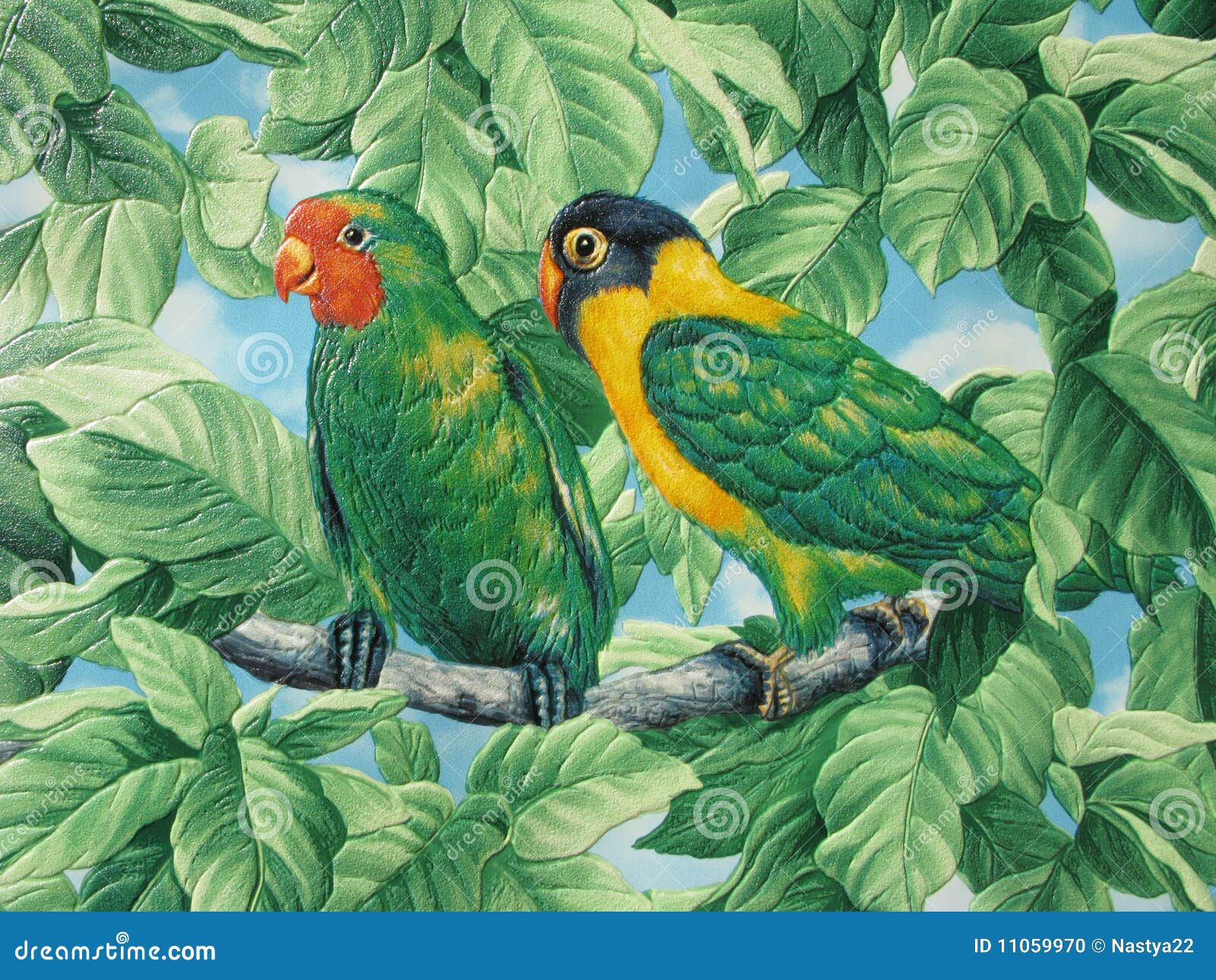 629 Parrots Texture Stock Photos - Free & Royalty-Free Stock Photos ...