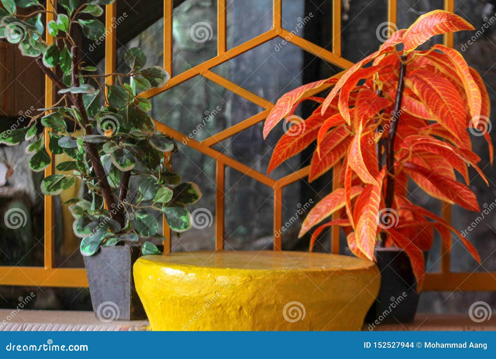 Two Pairs of Flowers Against the Yellow Fence Stock Photo - Image of ... Two Pairs of Flowers Against the Yellow Fence Stock Photo - Image of ...